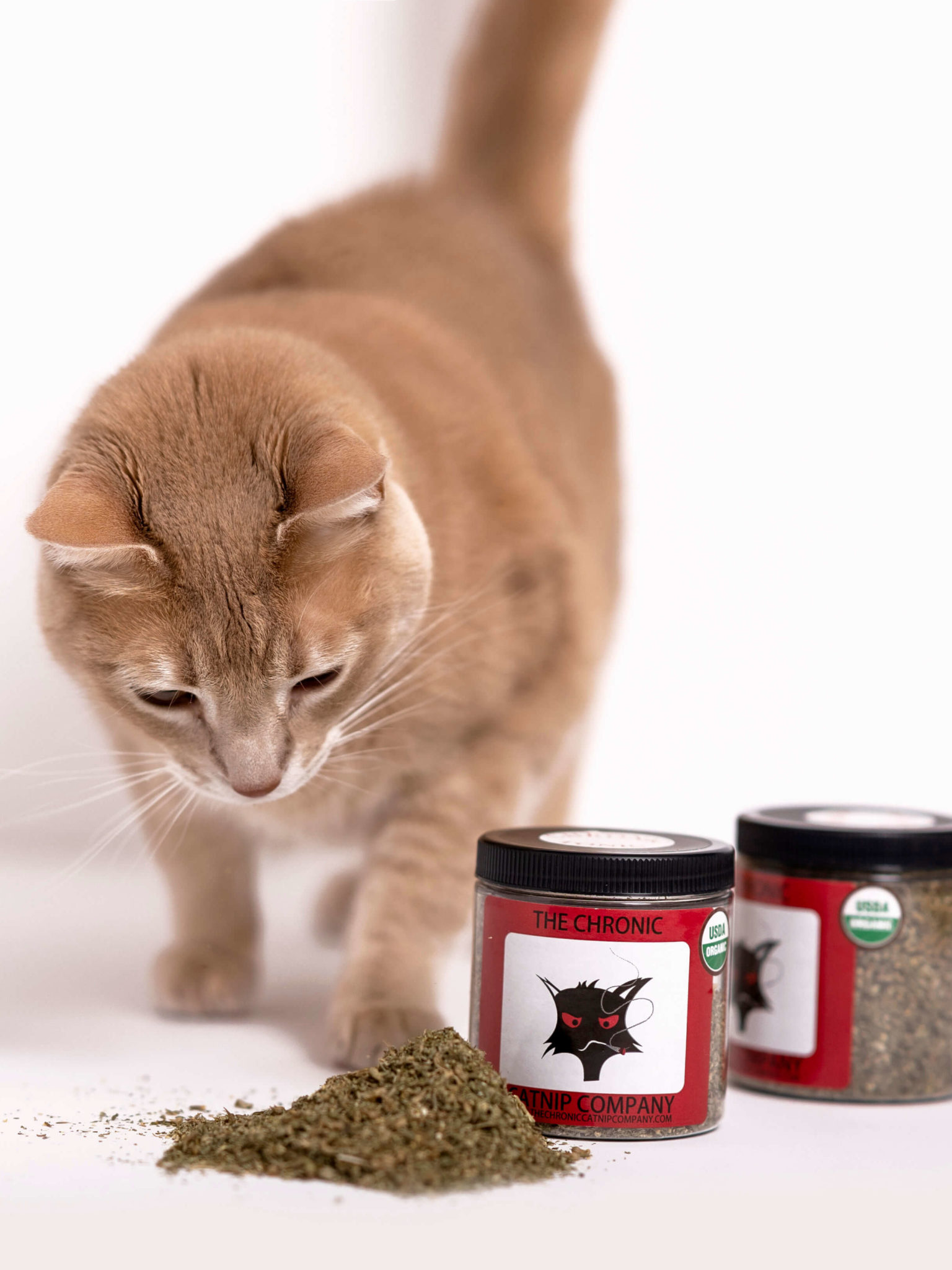 How Catnip Works - The Chronic Catnip Company